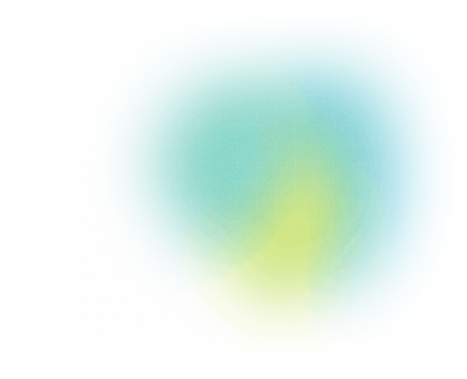 AnyChat | Conversational Commerce Platform